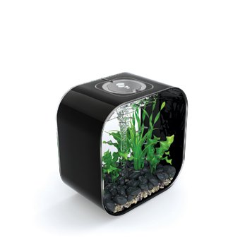 Reef One biOrb Life Square 30 Litre Aquarium – inovago