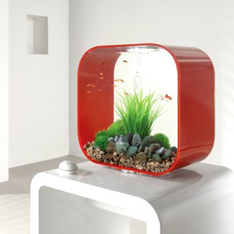 Reef One biOrb Life Square 30 Litre Aquarium – inovago