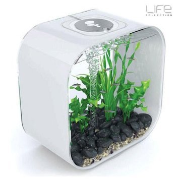 Reef One biOrb Life Square 30 Litre Aquarium – inovago