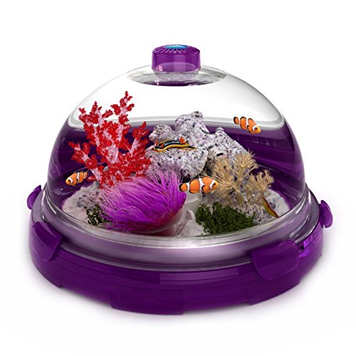 Bio Bubble Aquatic Kit – inovago